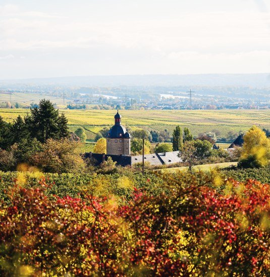 St. Martin Gottesdienst und Umzug